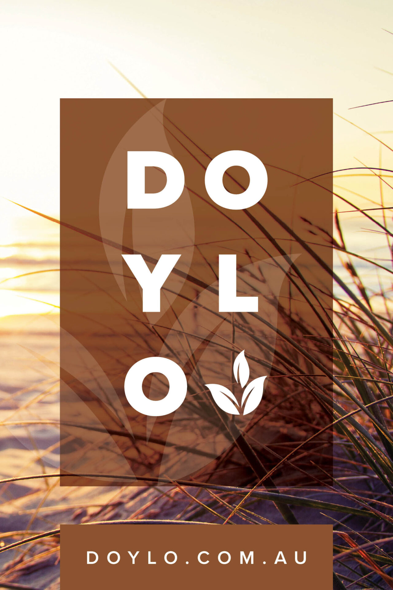 Doyalson Touch Association | Touch Football Association